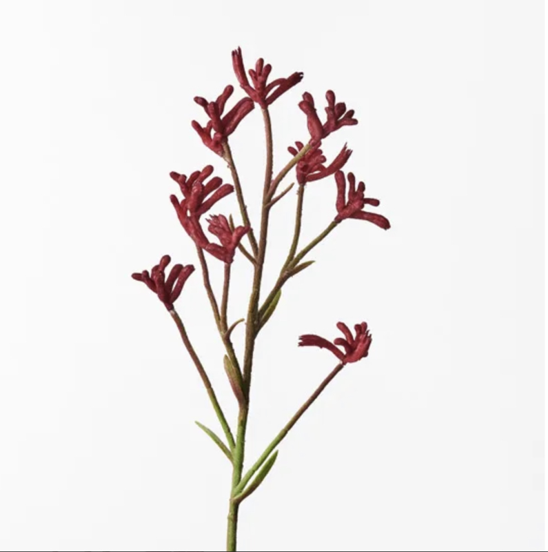 Realistic Australian Native Artificial Flowers | Kangaroo Paw | High ...
