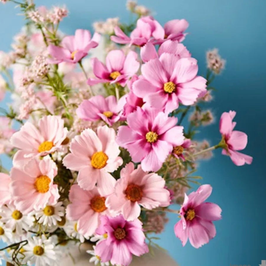 Artificial Cosmo Spray Amaya in Pink Mauve | High-Quality Artificial ...