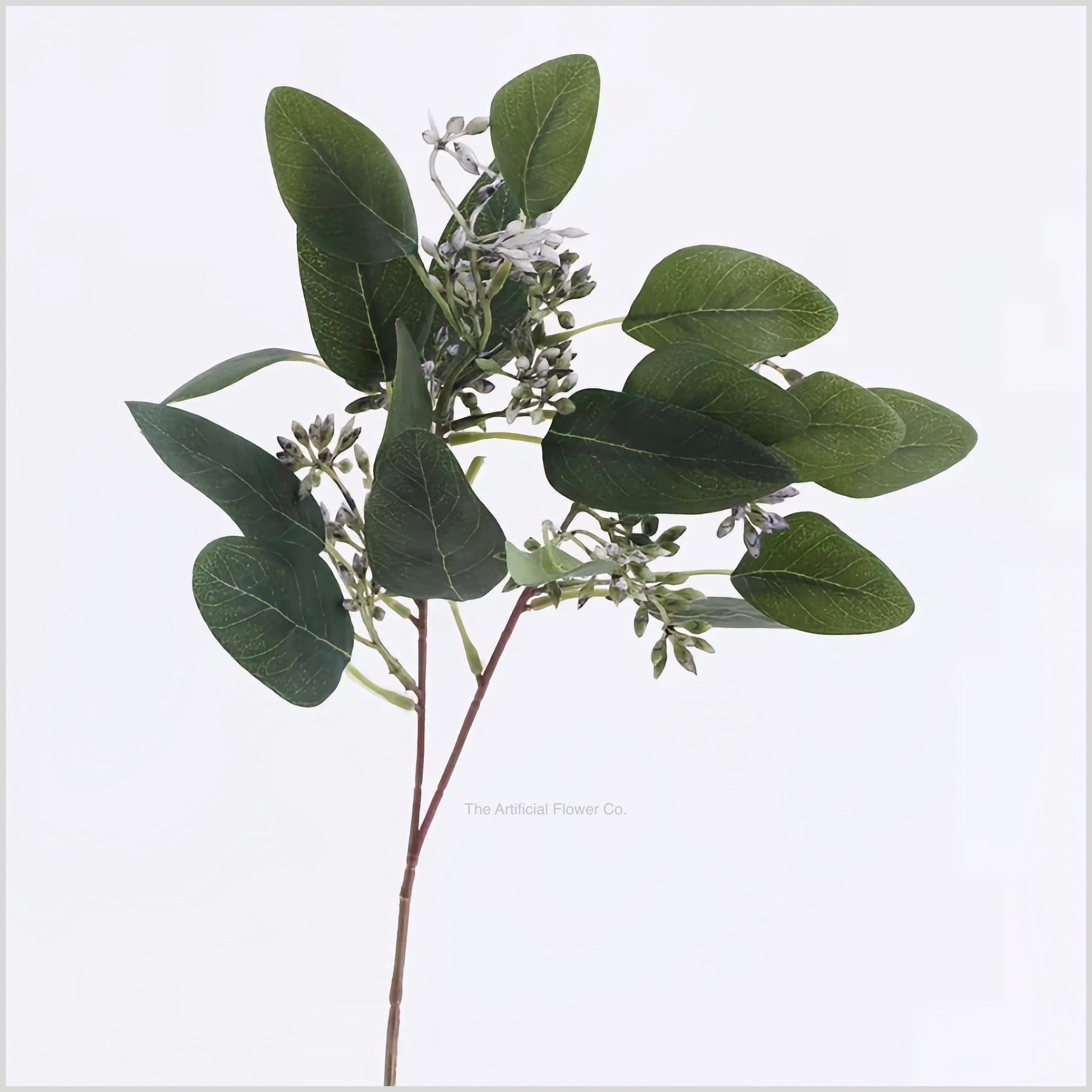 Kera -Beautiful High Quality Faux Eucalyptus With White Seeds | High ...