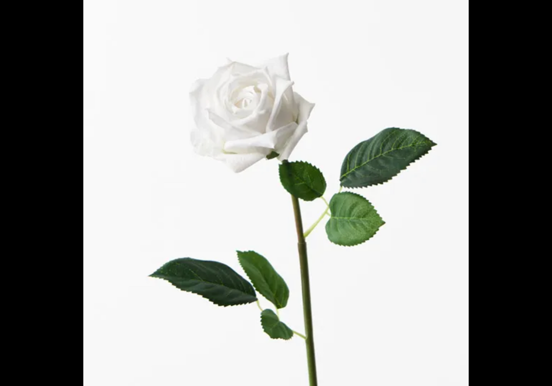 Artificial Real Touch Roses - Layla in White | The Artificial Flower Co