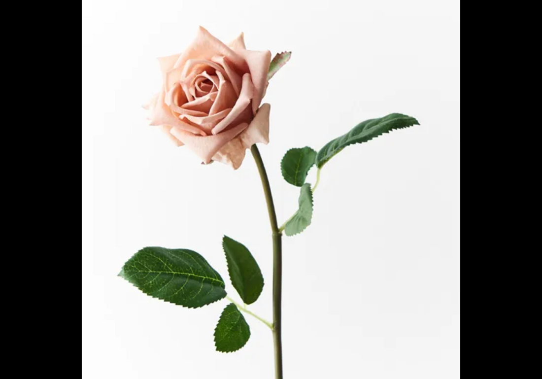 Artificial Real Touch Rose Layla in Blush | The Artificial Flower Co