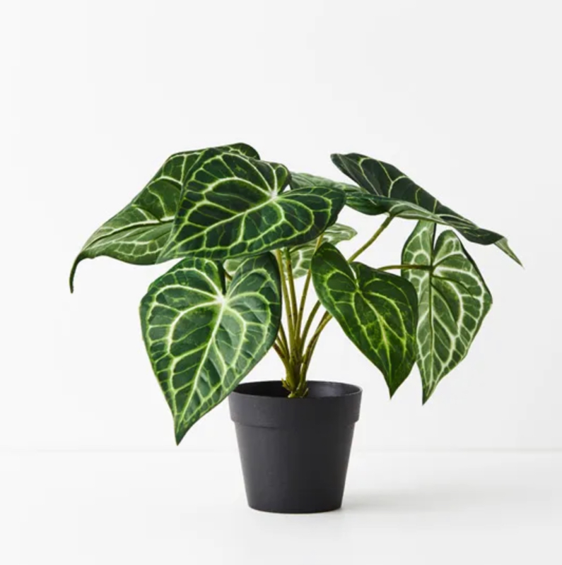 Syngonium Batik Plant 25cmh | The Artificial Flower Co