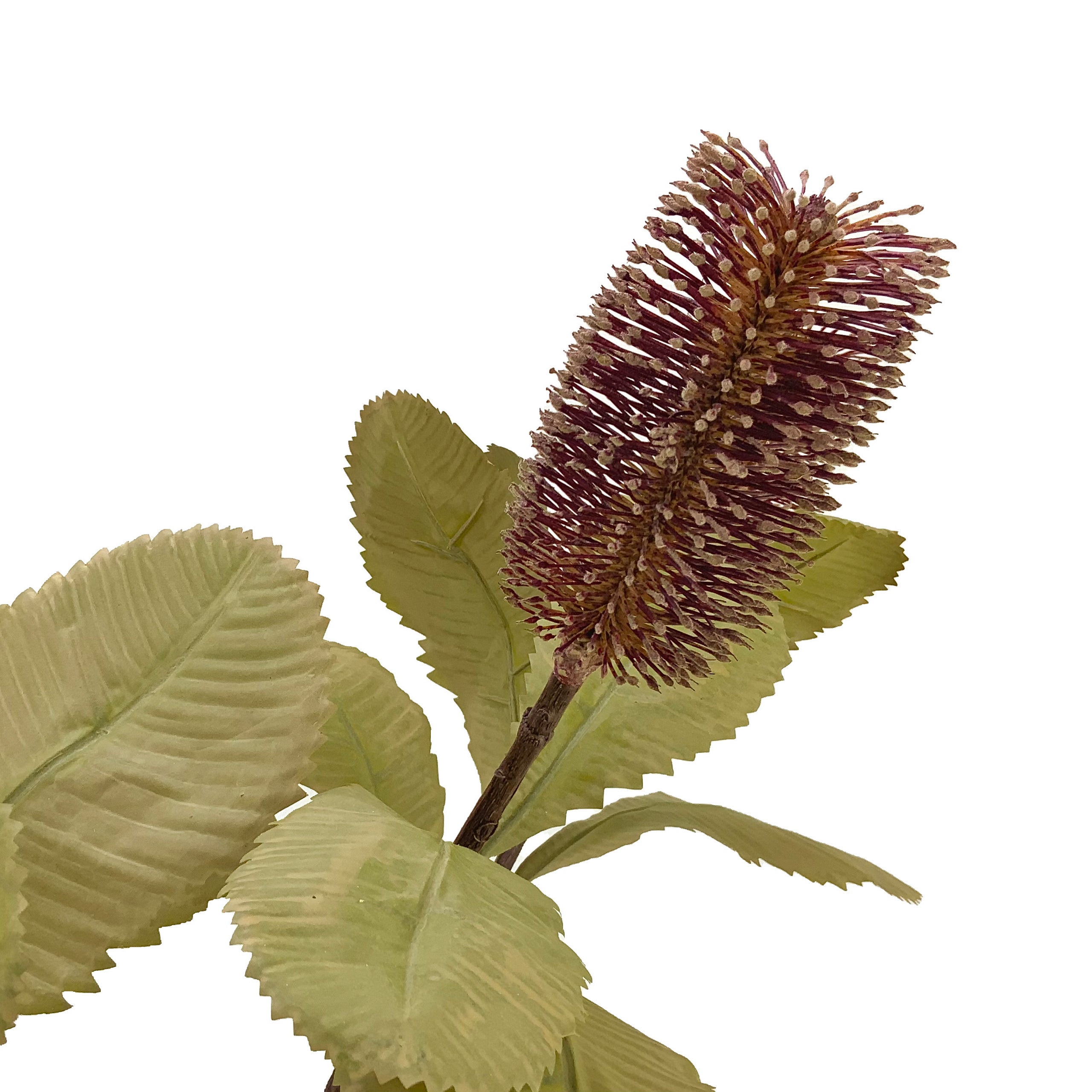 Artificial Native Banksia - Burgundy Faux Native Flowers - Australia ...