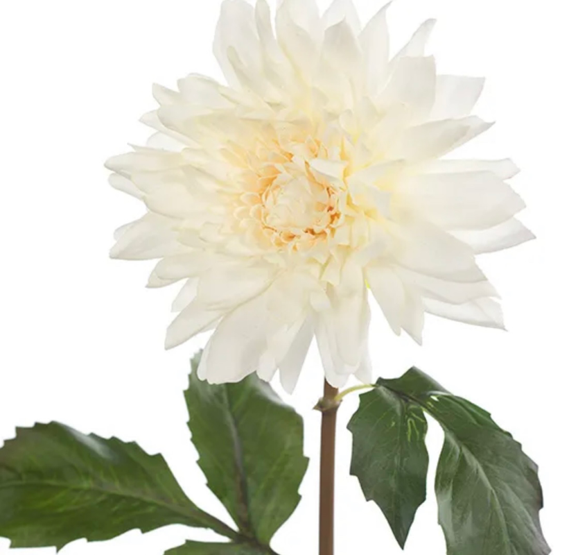 Real Touch Star Dahlia - Ivory | High-Quality Artificial Flowers | The ...