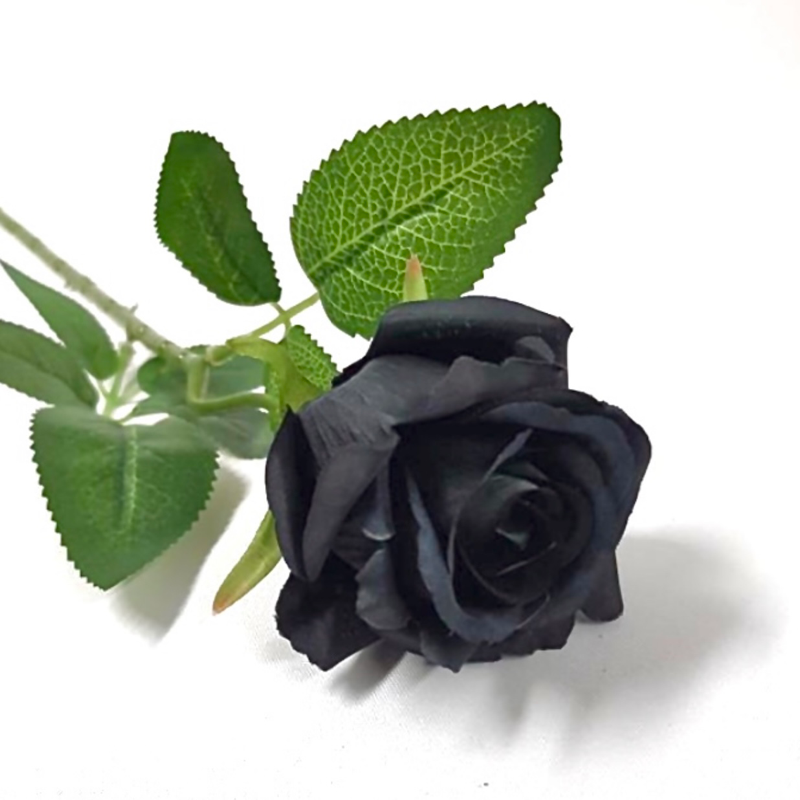 Realistic Rose Stem With Black