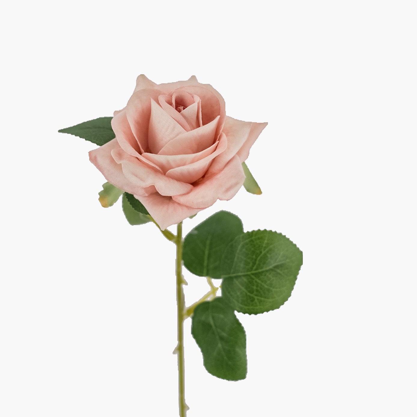 Artificial Rose Mindy - Blush Pink - AUSTRALIA WIDE SHIPPING | High ...